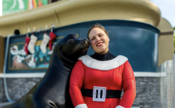 SeaWorld Christmas Celebration