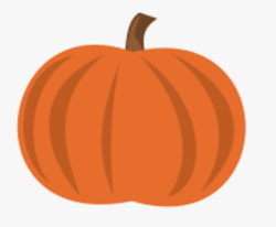 Julian Farm & Orchard Pumpkin Patch