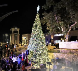 Santee Holiday Lighting