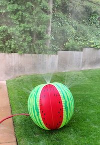 Kid-Tested Toy & Product Review